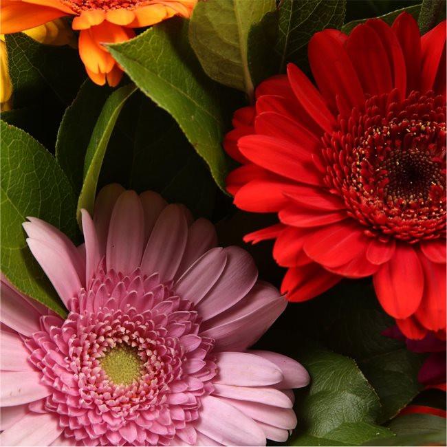 Princess Gerbera BouquetGerbera Princess Flowers Bouquet, Beautiful ...