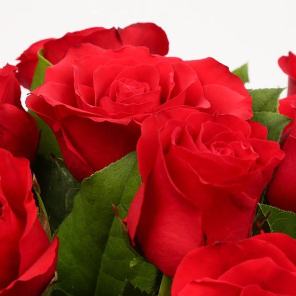 12 Red RosesThis Beautiful Bouquet, carefully selected flowers with ...