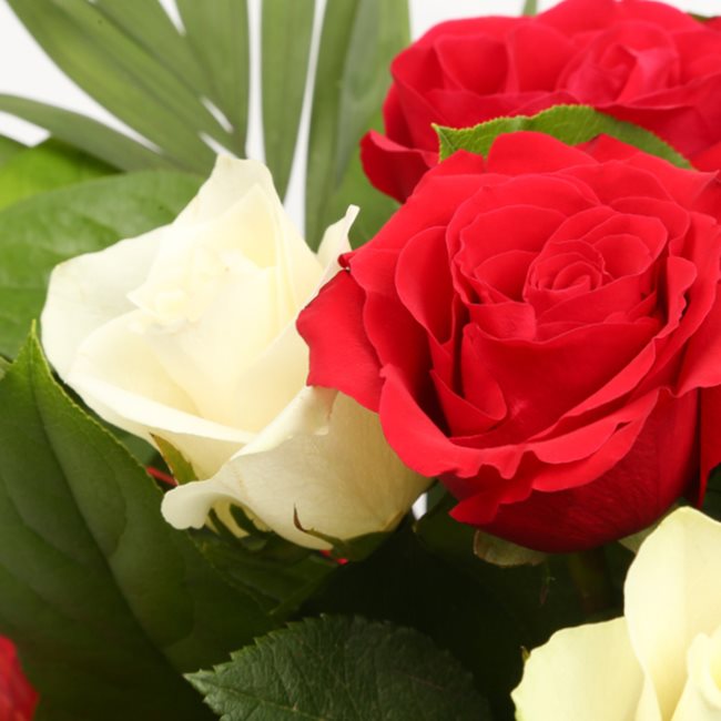 Red & White Roses Bouquet – Lovely Flora World