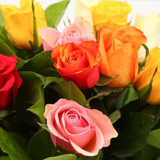 Multicolour Roses BouquetThis Beautiful Bouquet, carefully selected ...
