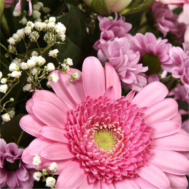 Pink Classic BouquetAn endearing classic in soft Pink with deep pink ...